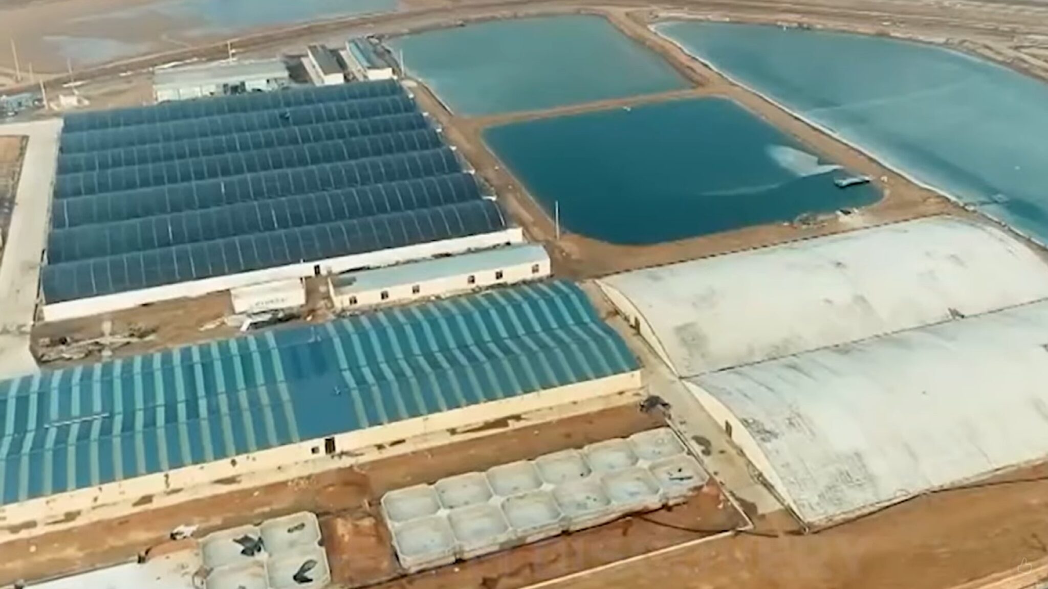 China’s Shrimp Farming Revolution: From Greenhouses to Global ...